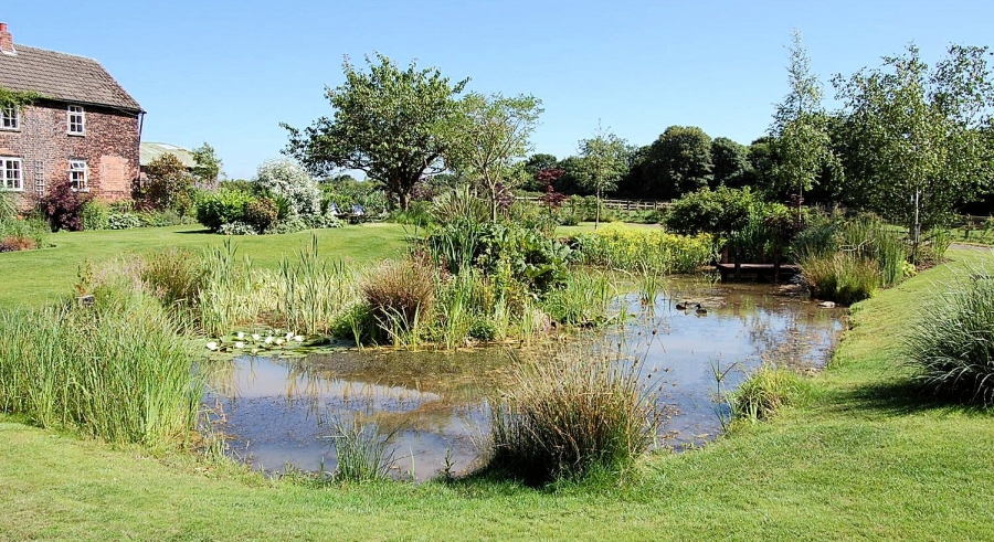 Dingle Farm Tea room (5 Day Weather Forecast For Warrington)