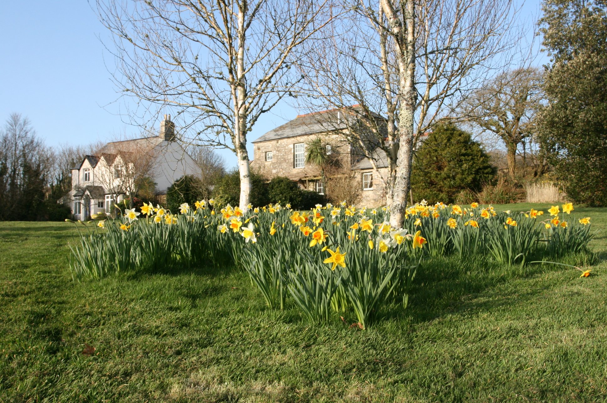 Torr House Cottages (5 Day Weather Forecast For BODMIN)