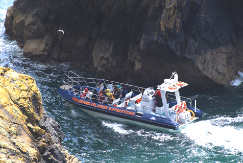 Thousand Islands Expeditions (5 Day Weather Forecast For St Davids)