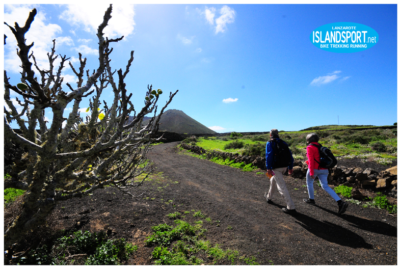 Islandsport Lanzarote (5 Day Weather Forecast For Costa Teguise)