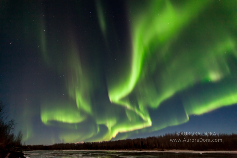 Aurora Dora (5 Day Weather Forecast For Talkeetna)