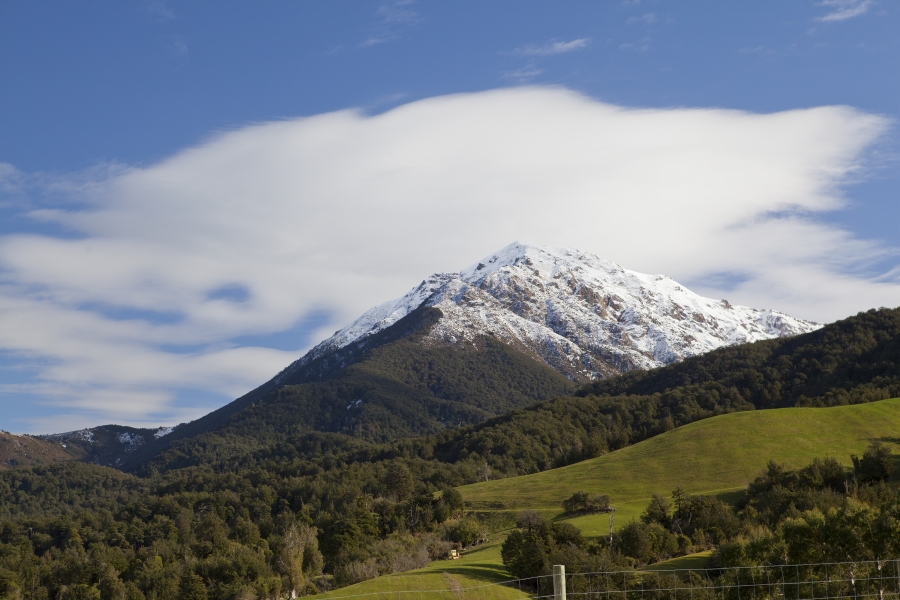 Beech Hill Luxury Country Stay (5 Day Weather Forecast For Ashburton)