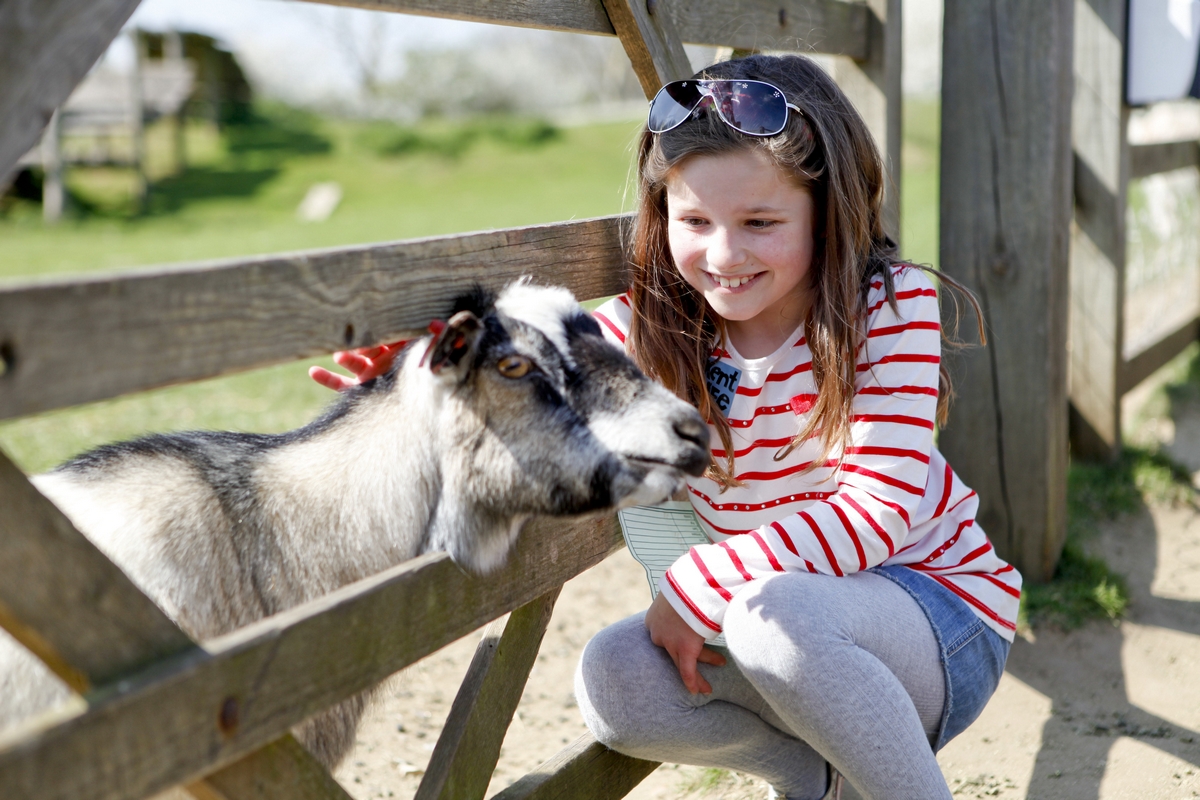 Kent Life Heritage Farm Park (5 Day Weather Forecast For Maidstone)