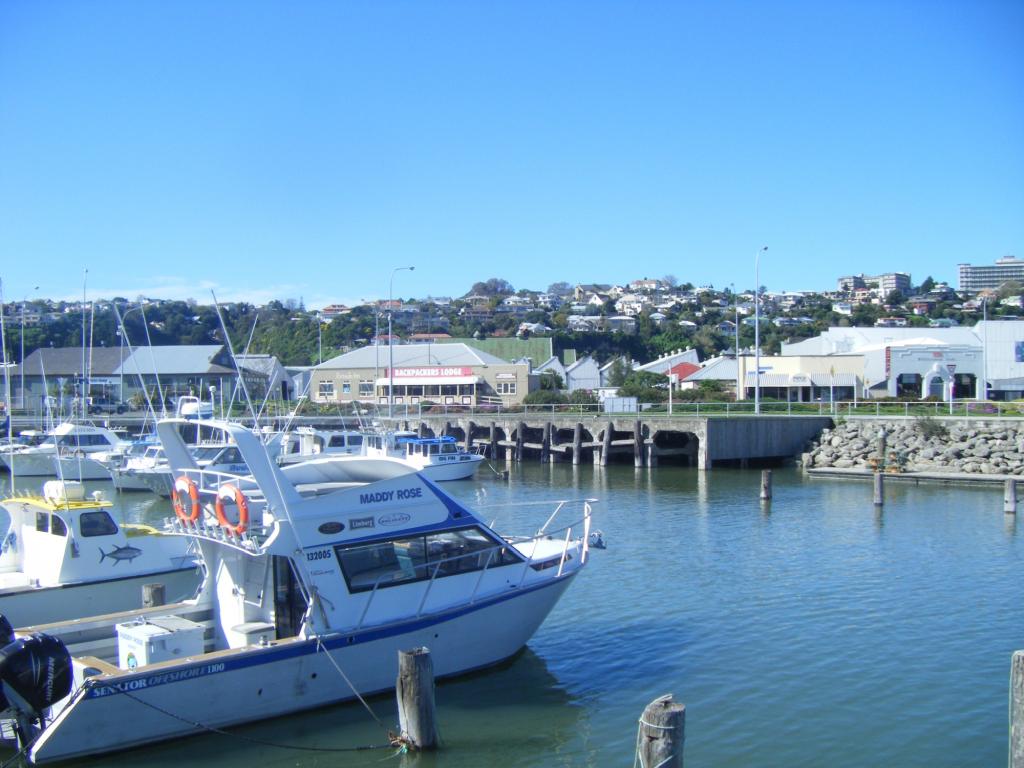 Portside Inn Backpackers Lodge (5 Day Weather Forecast For Napier)