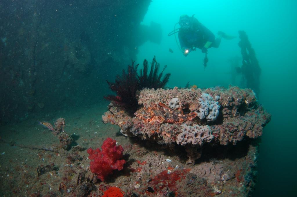 Sunreef Mooloolaba Dive The Ex Hmas Brisbane 5 Day Weather Forecast
