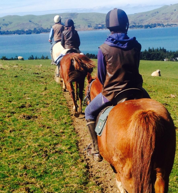 Hare Hill Horse Treks (5 Day Weather Forecast For Dunedin)