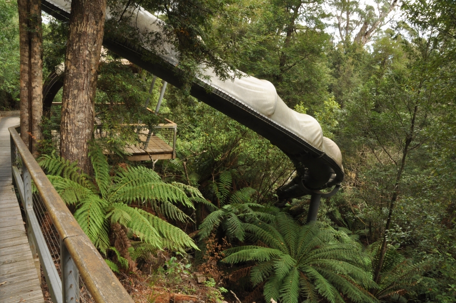 Tarkine Forest Adventures (5 Day Weather Forecast For Togari)